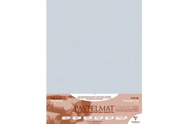 CLAIREFONTAINE PASTELMAT Papier A2+ hellgrau 5 Blatt, 96020C Tintenmax.ch